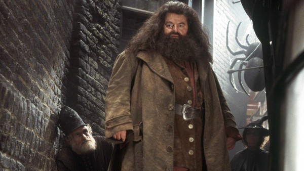 harry-potter-quiz-how-well-do-you-know-hagrid-page-2