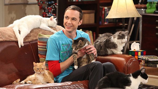 The Big Bang Theory Quiz Did Sheldon Say It Page 2